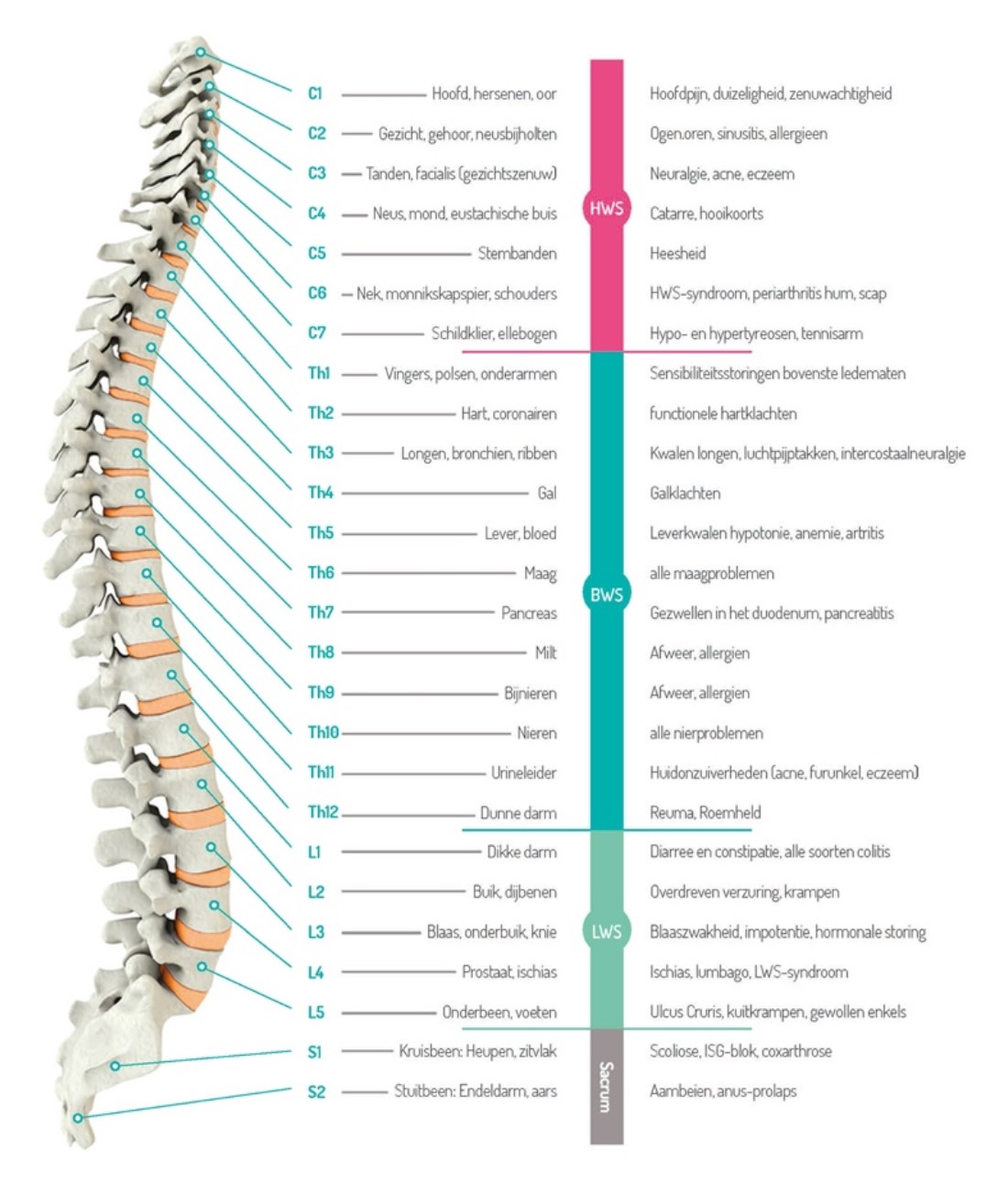 Rueckenschmerzen - www.hhp.de