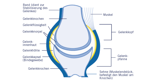 Gelenkschmerzen - Ursachen, Symptome von Gelenkschmerzen - hhp.de